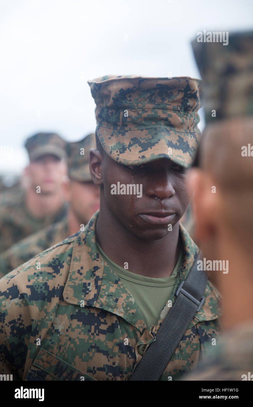 United states marine core emblem hi-res stock photography and images ...
