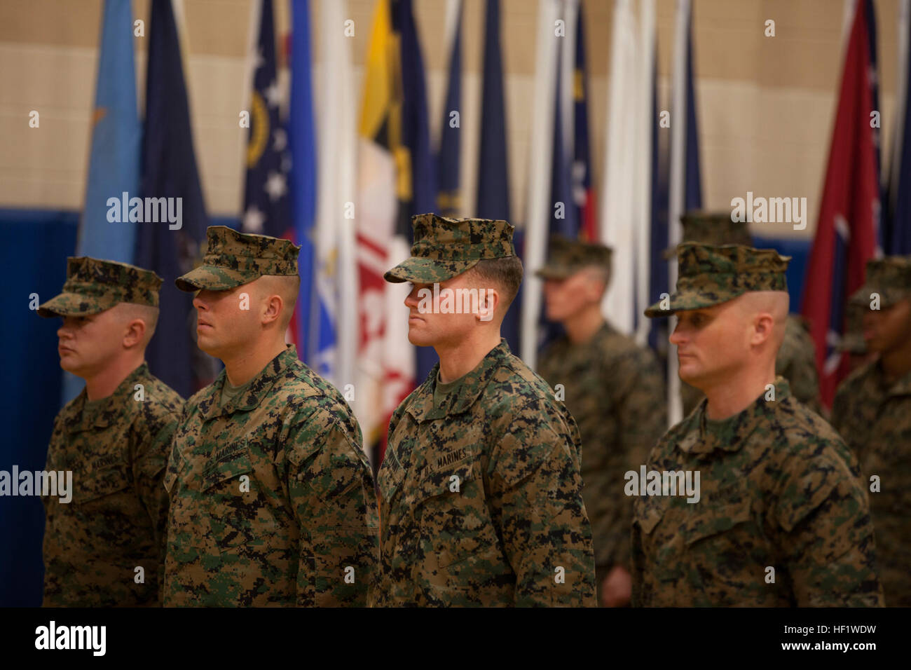 U.S. Marine Corps Combat Instructors with Hotel Company (Hotel Co ...