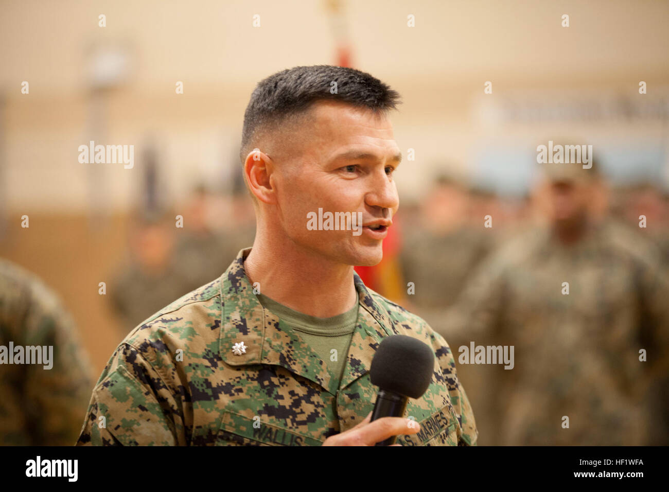 U.S. Marine Corps Lt. Col. David C. Wallis, commanding officer ...
