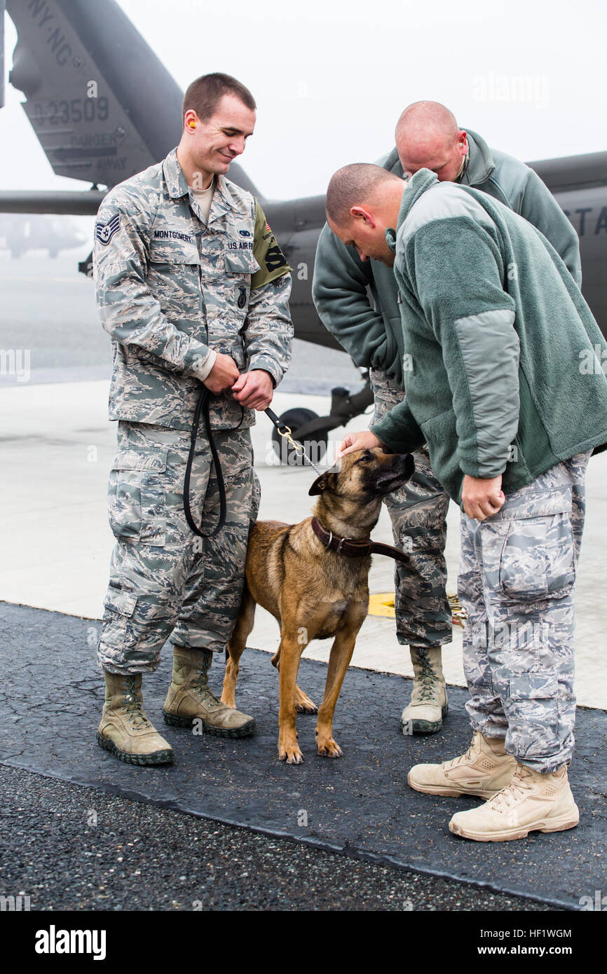 Air Force working dog handlers train with dogs in front of a UH-60 ...