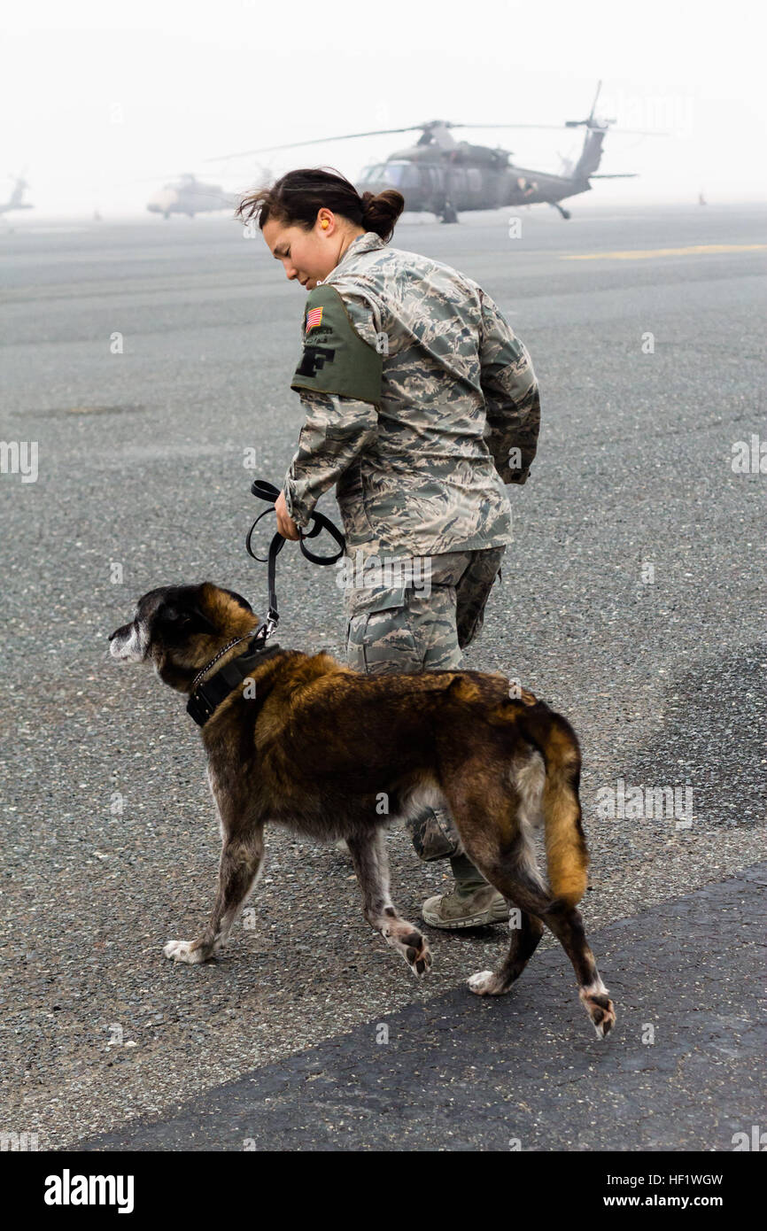 Senior Airman Angela Jones, an Air Force military working dog handler ...