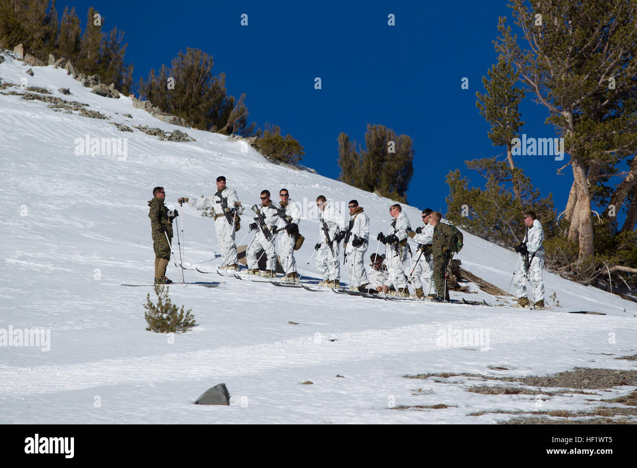 Pickel meadows hi-res stock photography and images - Alamy
