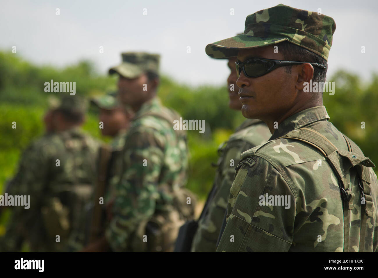 Non commissioned officer professional development hi-res stock ...