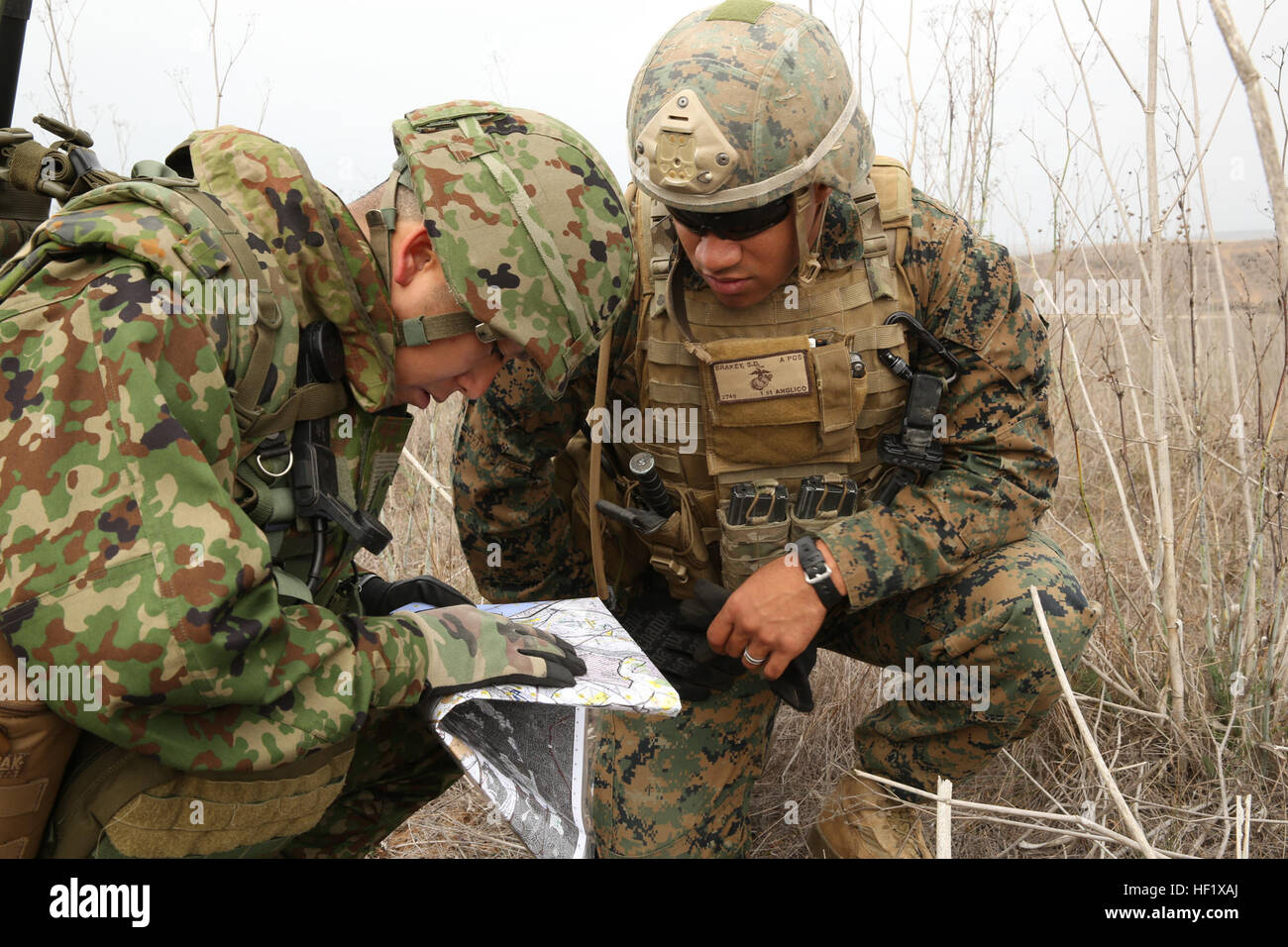 U.S. Marine Cpl. Shawn Brakey, fire-support man, 1st Air Naval Gunfire ...