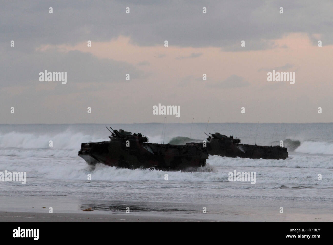 Assault amphibious vehicles with 3rd Assault Amphibian Battalion land ...