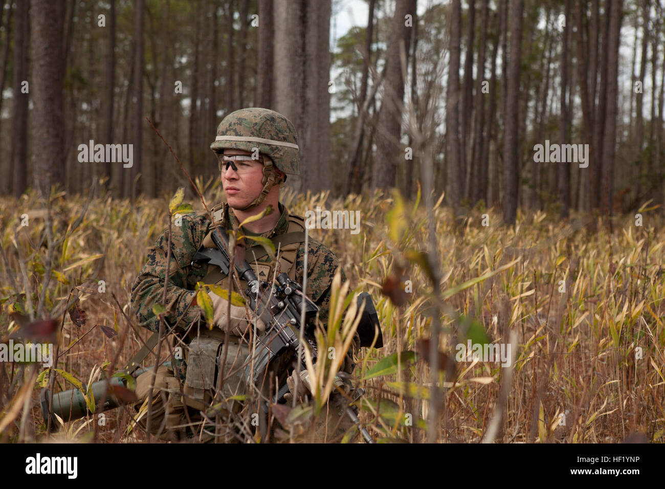 U.S. Marine Corps Lance Cpl. James Culler, rifleman, 2nd Battalion, 8th ...