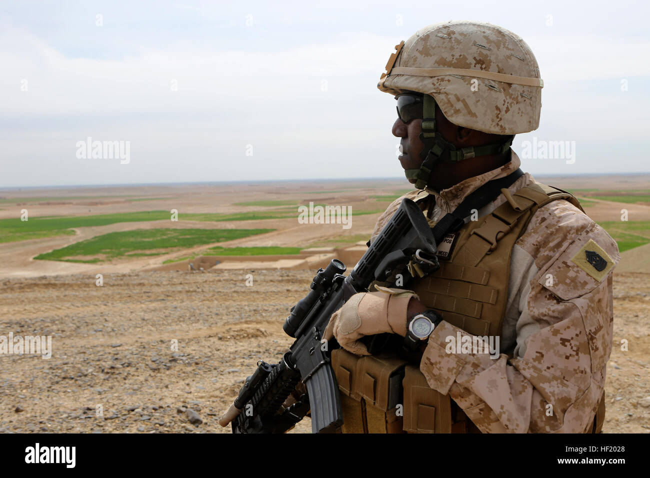 U.S. Marine Sergeant Maj. Reginald Robinson, Task Force Belleau Wood ...
