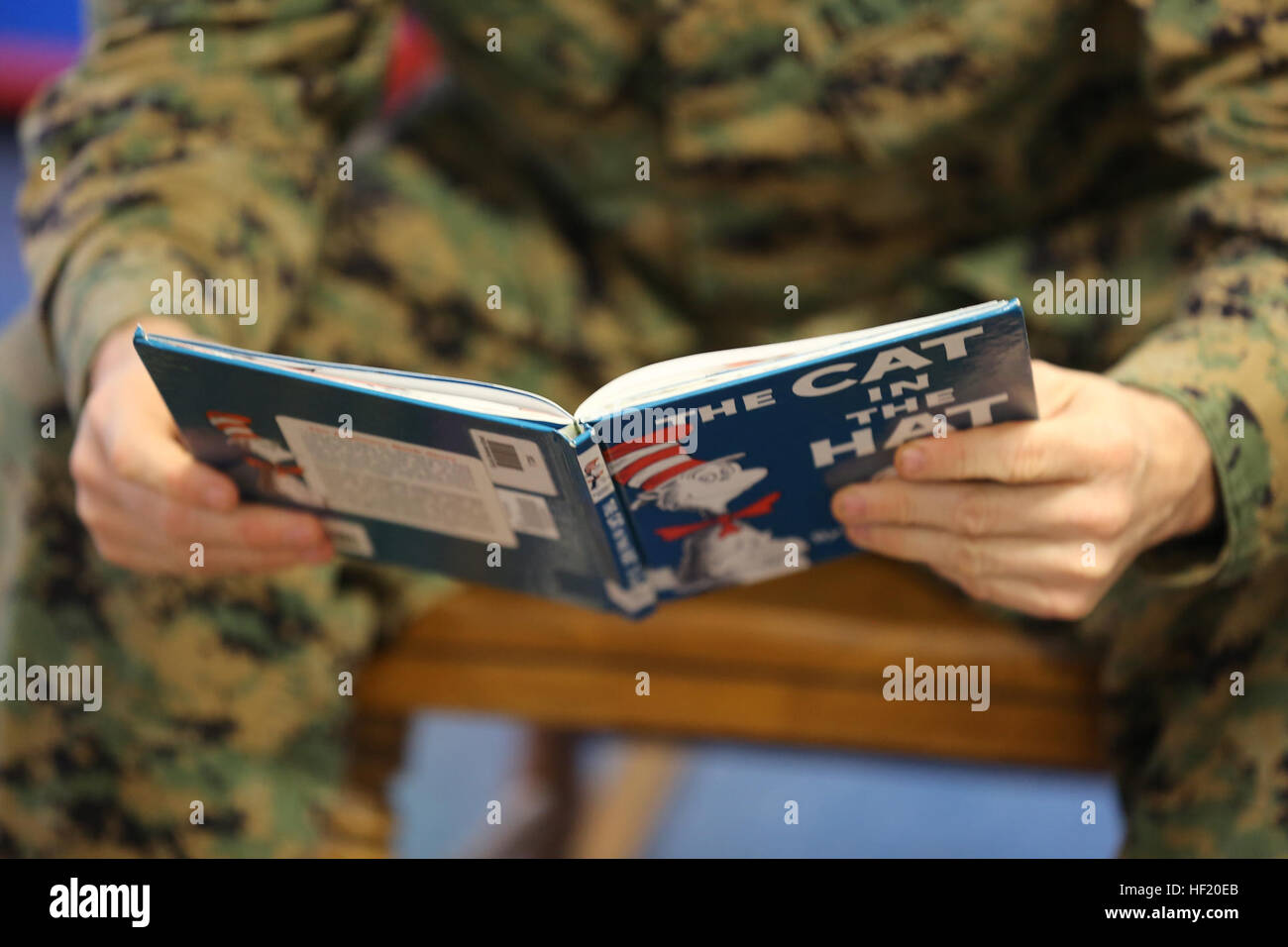 Col. Timothy Salmon, commanding officer of Marine Corps Air Station New ...