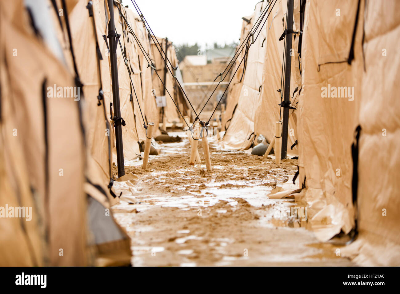 Repiblic of korea hi-res stock photography and images - Alamy