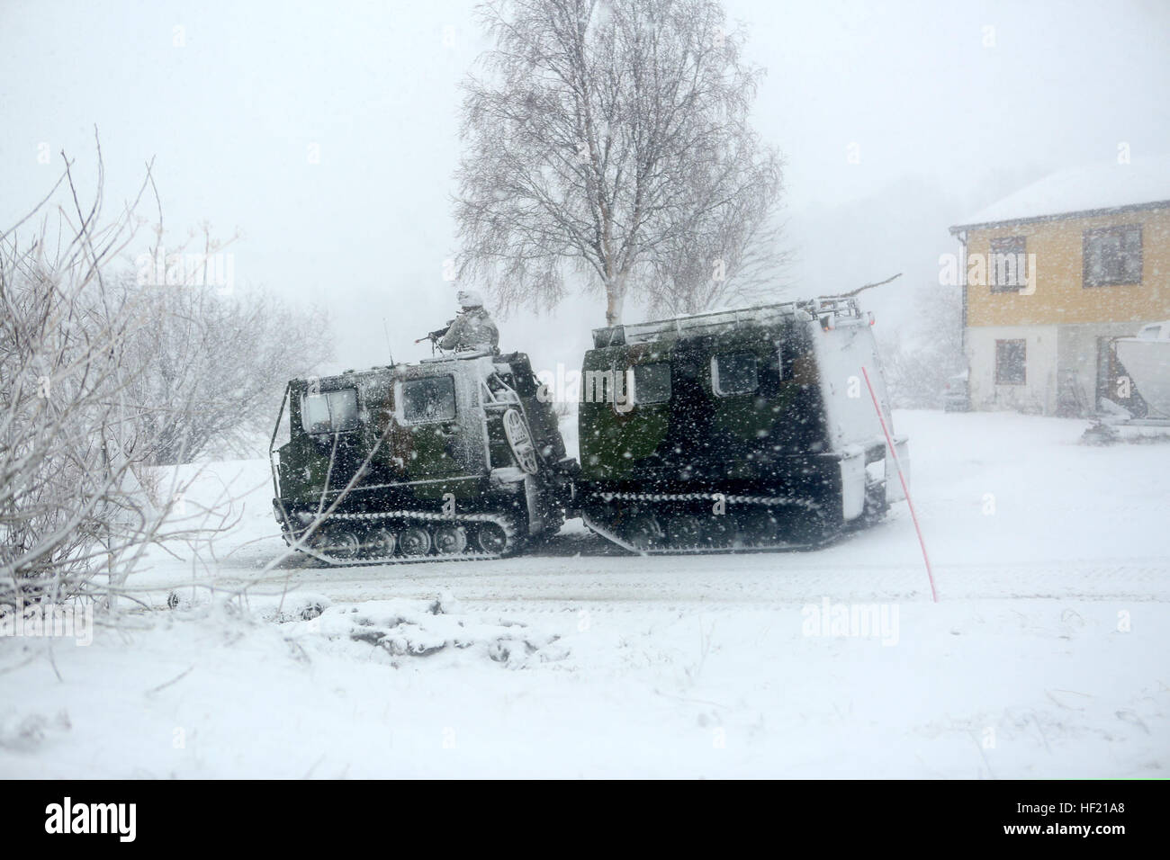 A Bandvagn 206, the Norwegian Army's all-terrain carrier of choice ...