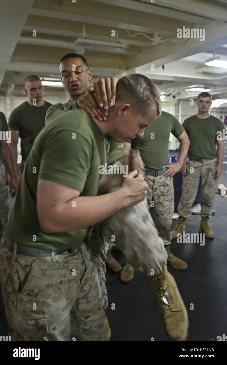 Sergeant Jonathon D. Carter, a Marine Corps Martial Arts Program ...