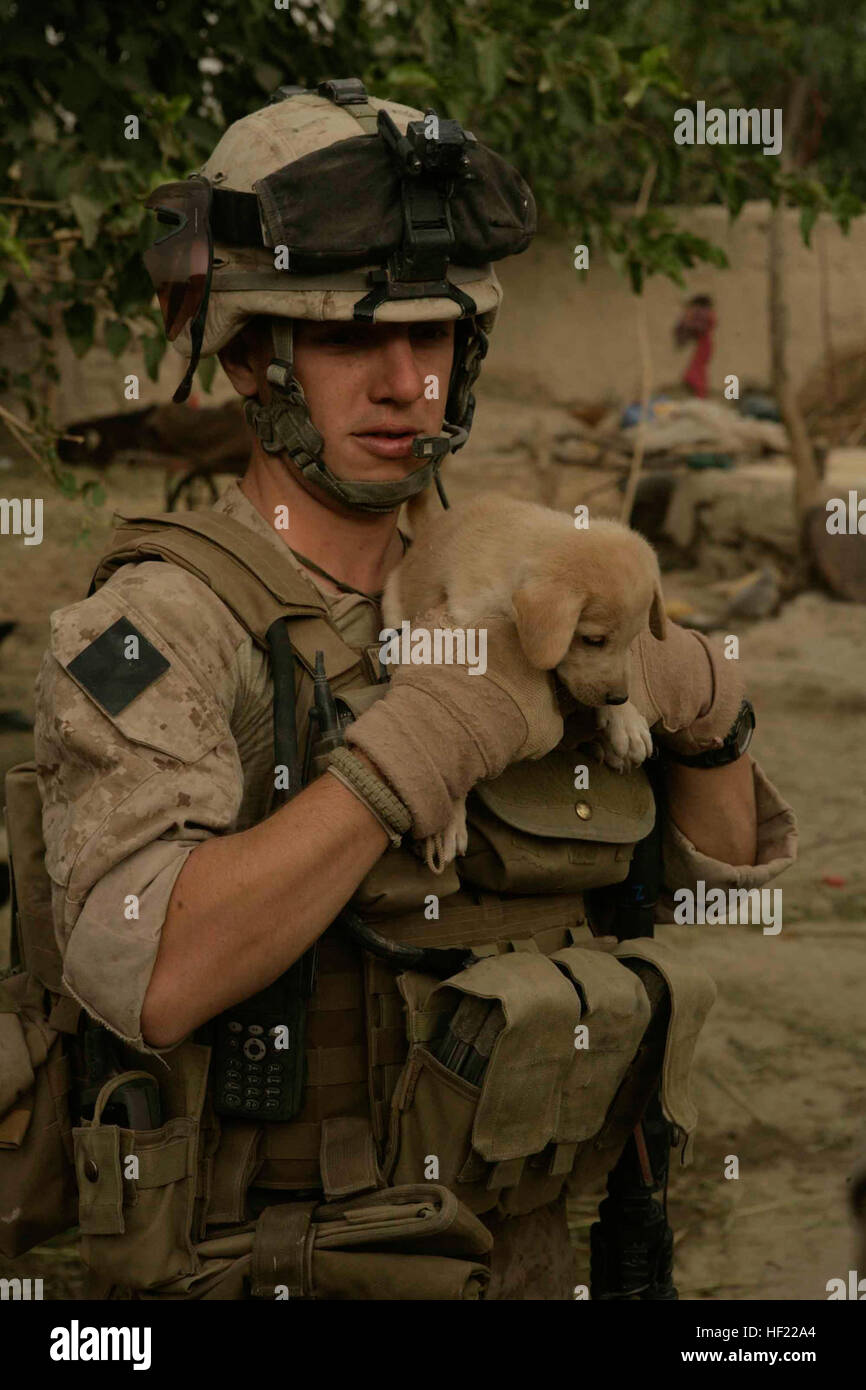 Carlson landing hi-res stock photography and images - Alamy