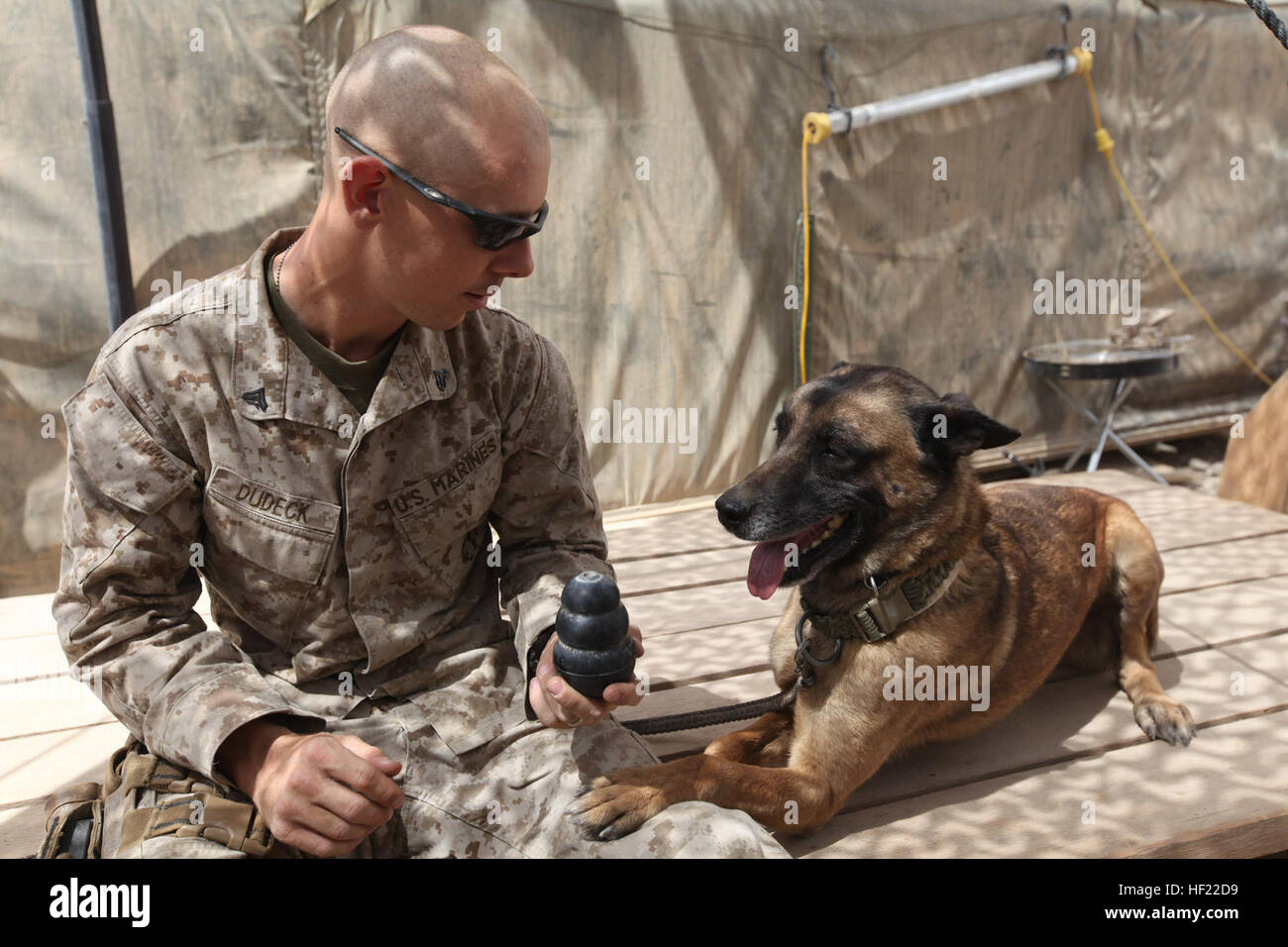 Police narcotics hi-res stock photography and images - Alamy