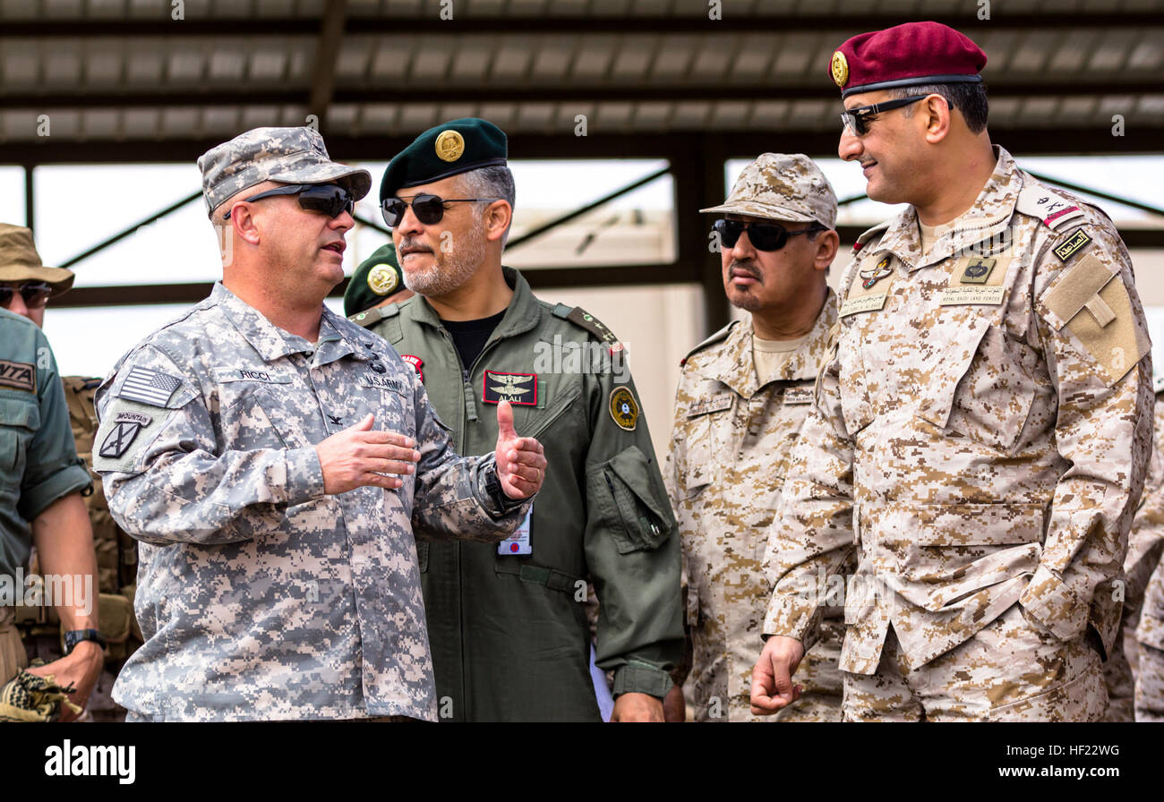 Col. Albert J. Ricci Sr., commander of the 42nd Combat Aviation Brigade ...