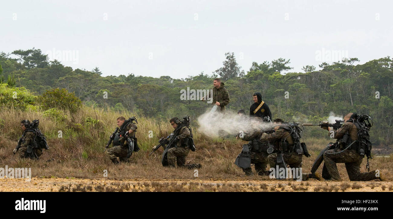 Marines execute immediate action drills during combatant diver and ...