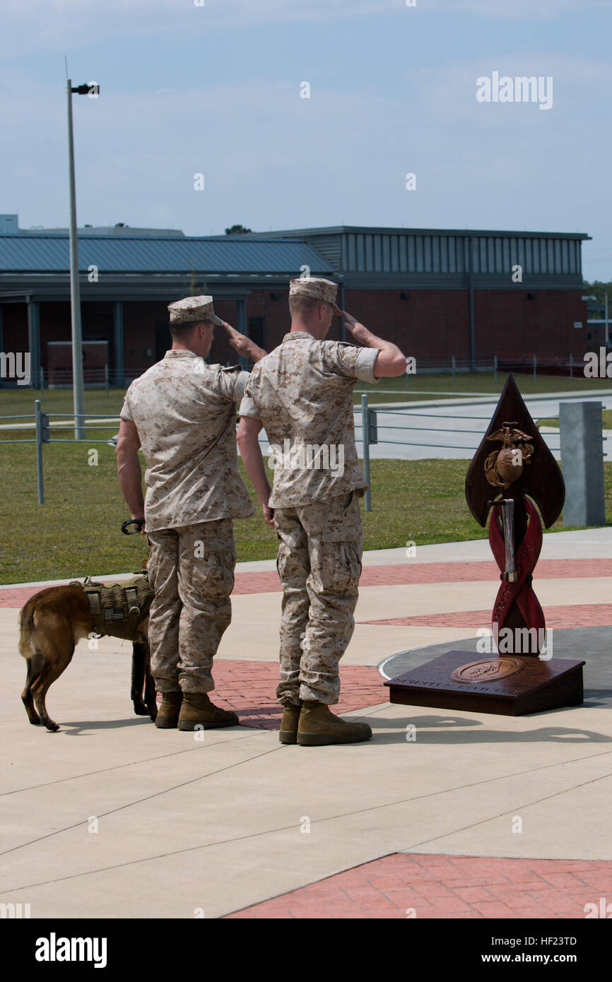 A Critical Skill Operator, and a Multipurpose Canine Handler, both with ...