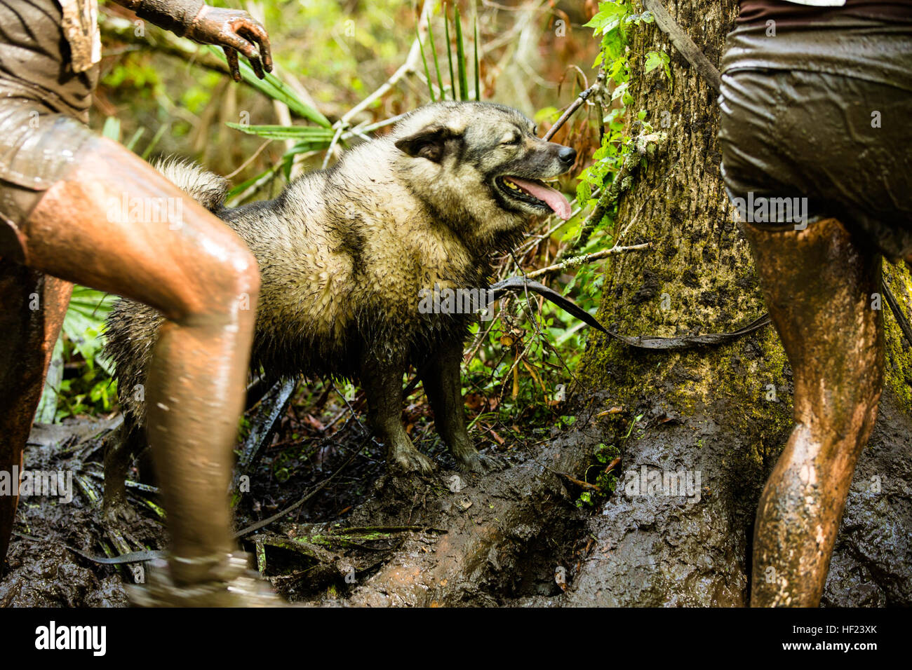 Running enthusiasts converged on Stone Bay for the MARSOC Mud, Sweat ...