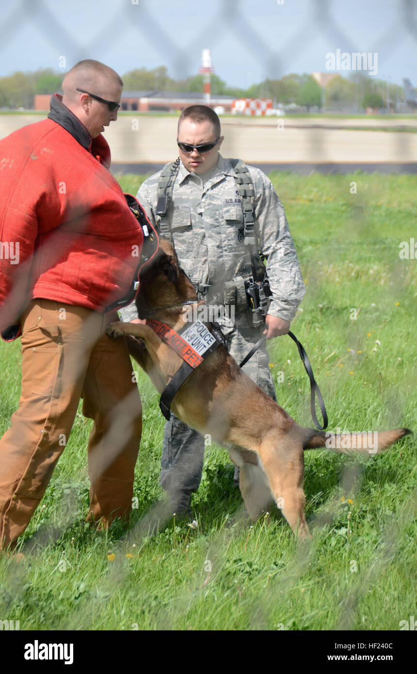 Breston, a military working dog for the 375th Security Forces Squadron ...