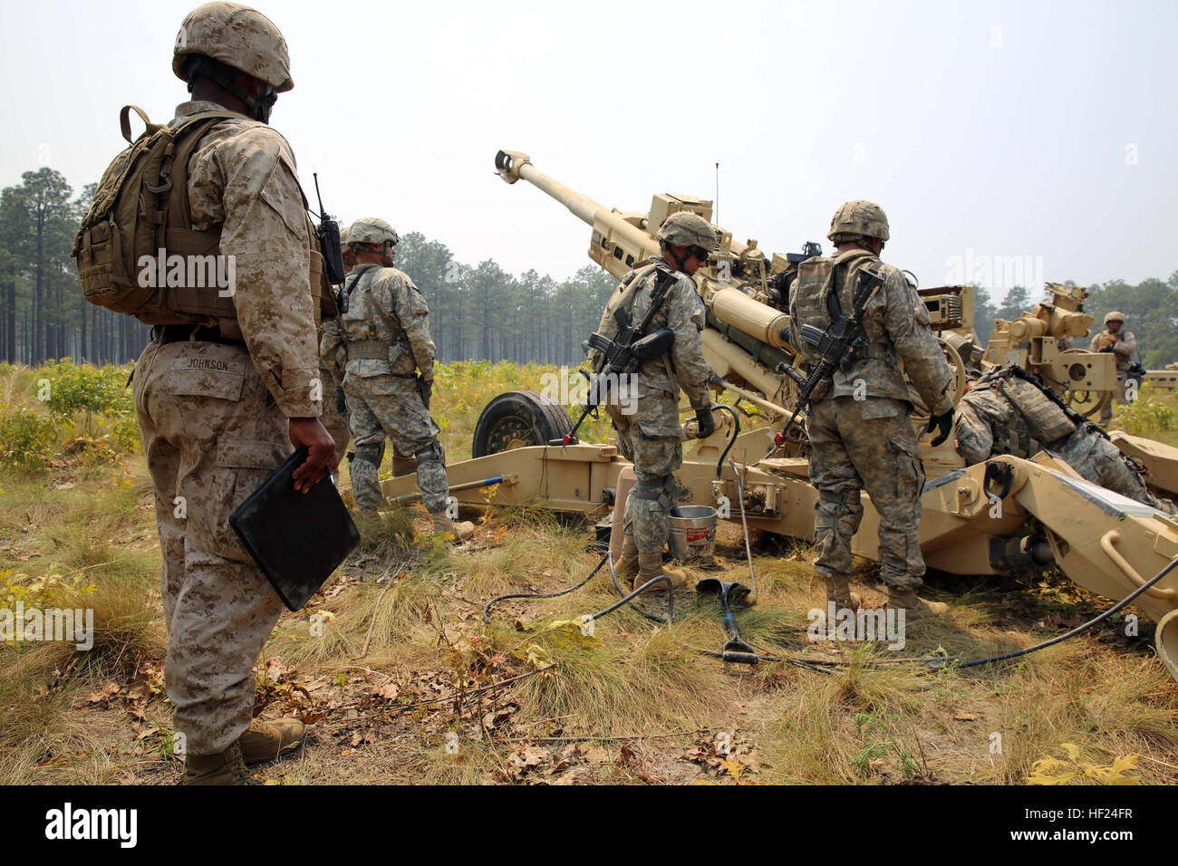 Sergeant Darnell Johnson, an artillery training school instructor with ...