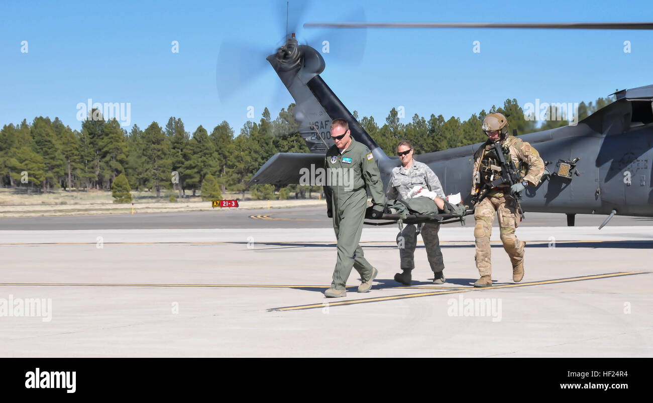 Airman from the 187th Aeromedical Evacuation Squadron from the Wyoming ...