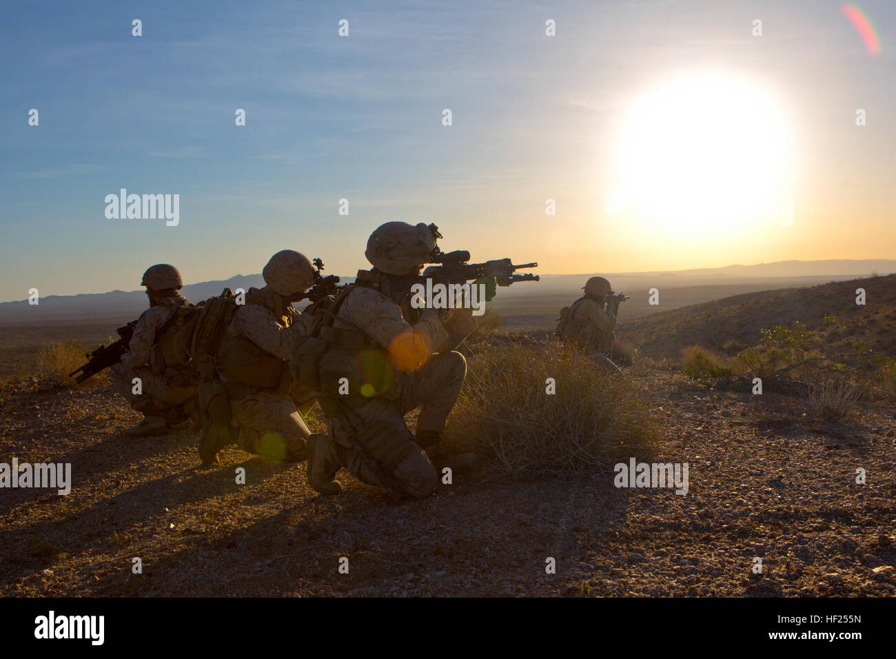 U.S. Marines with 3rd Light Armored Reconnaissance Battalion (3rd LAR ...