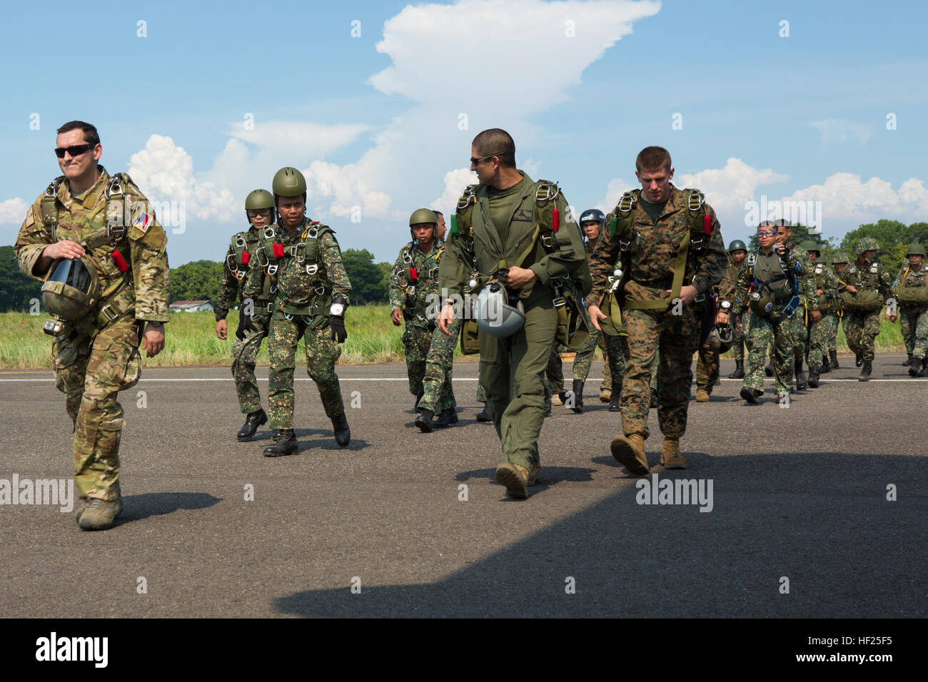 Philippine marsog hi-res stock photography and images - Alamy