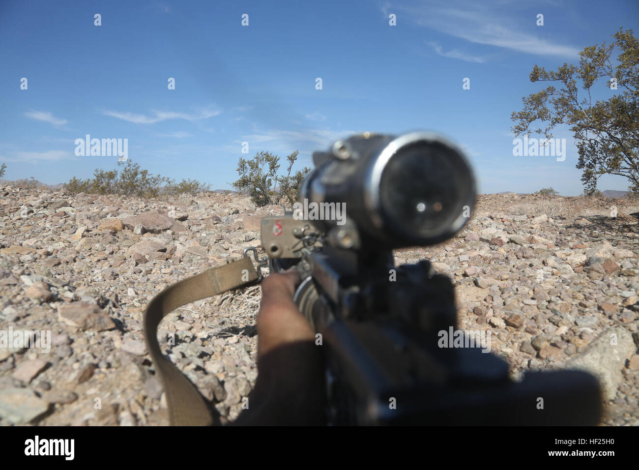 Desert scimitar 2014 hi-res stock photography and images - Alamy