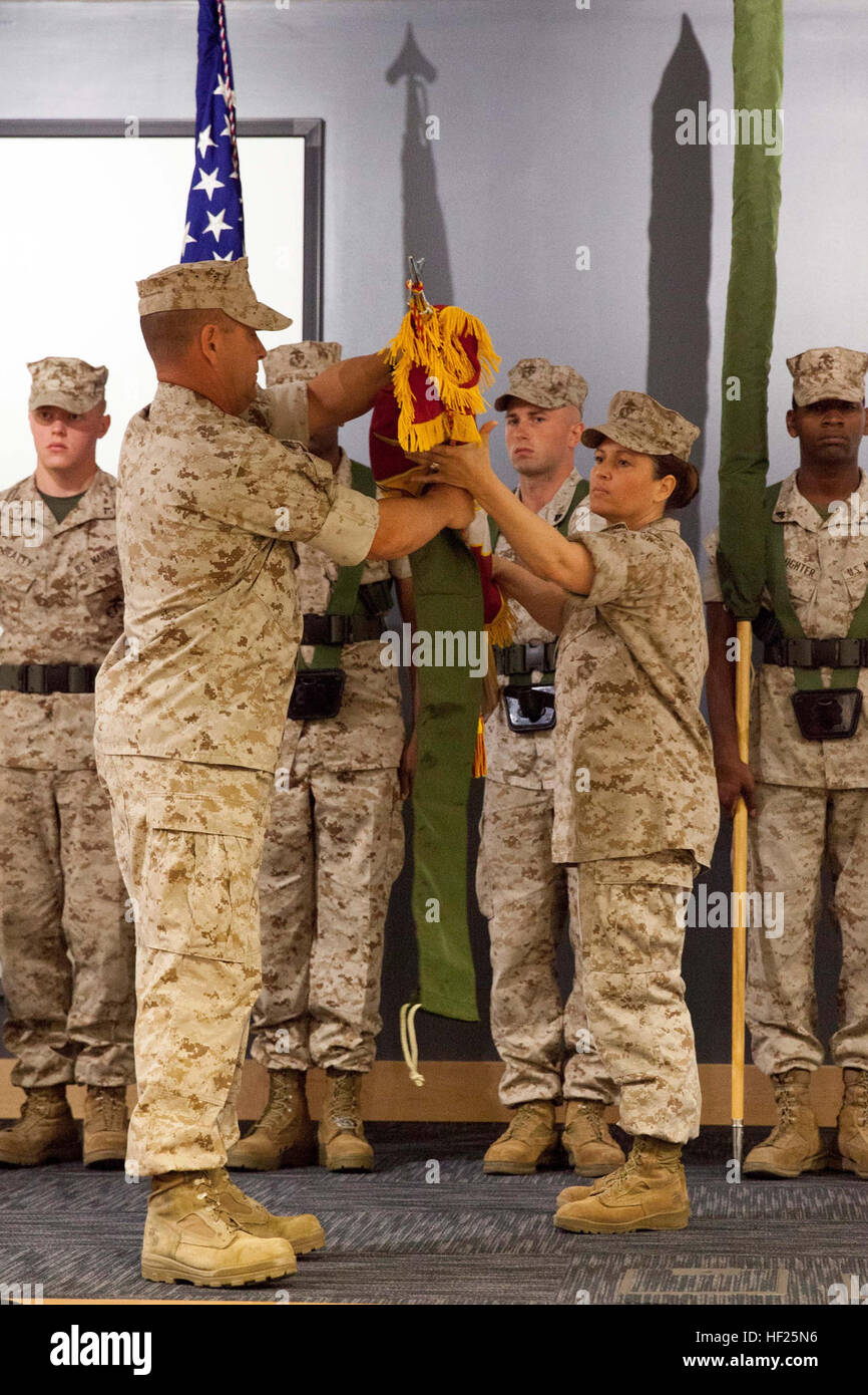 Lieutenant Col. Stephanie L. Walker, commanding officer, 2nd Marine ...