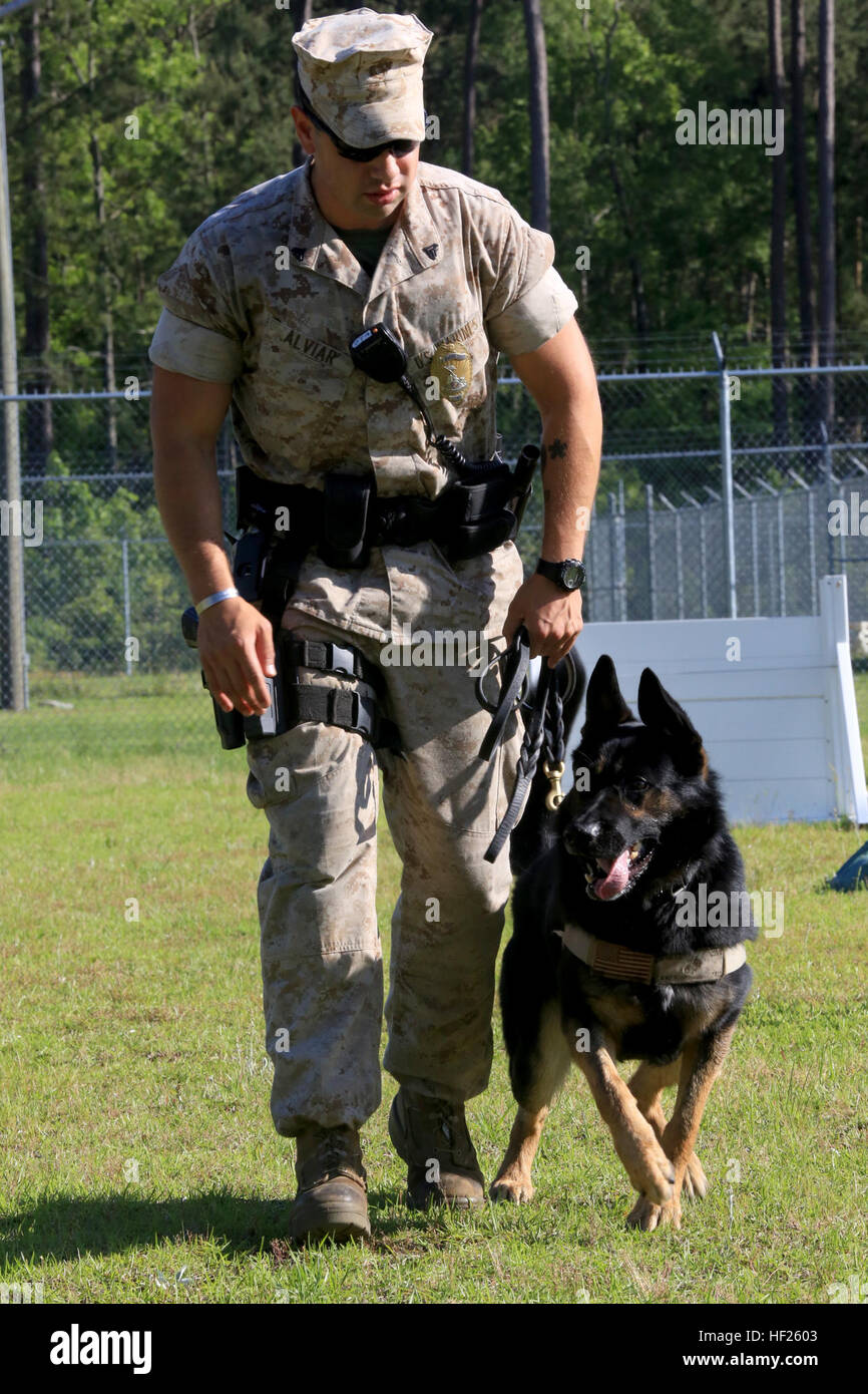 Military working dog handler Cpl. David Alviar gives his narcotics ...