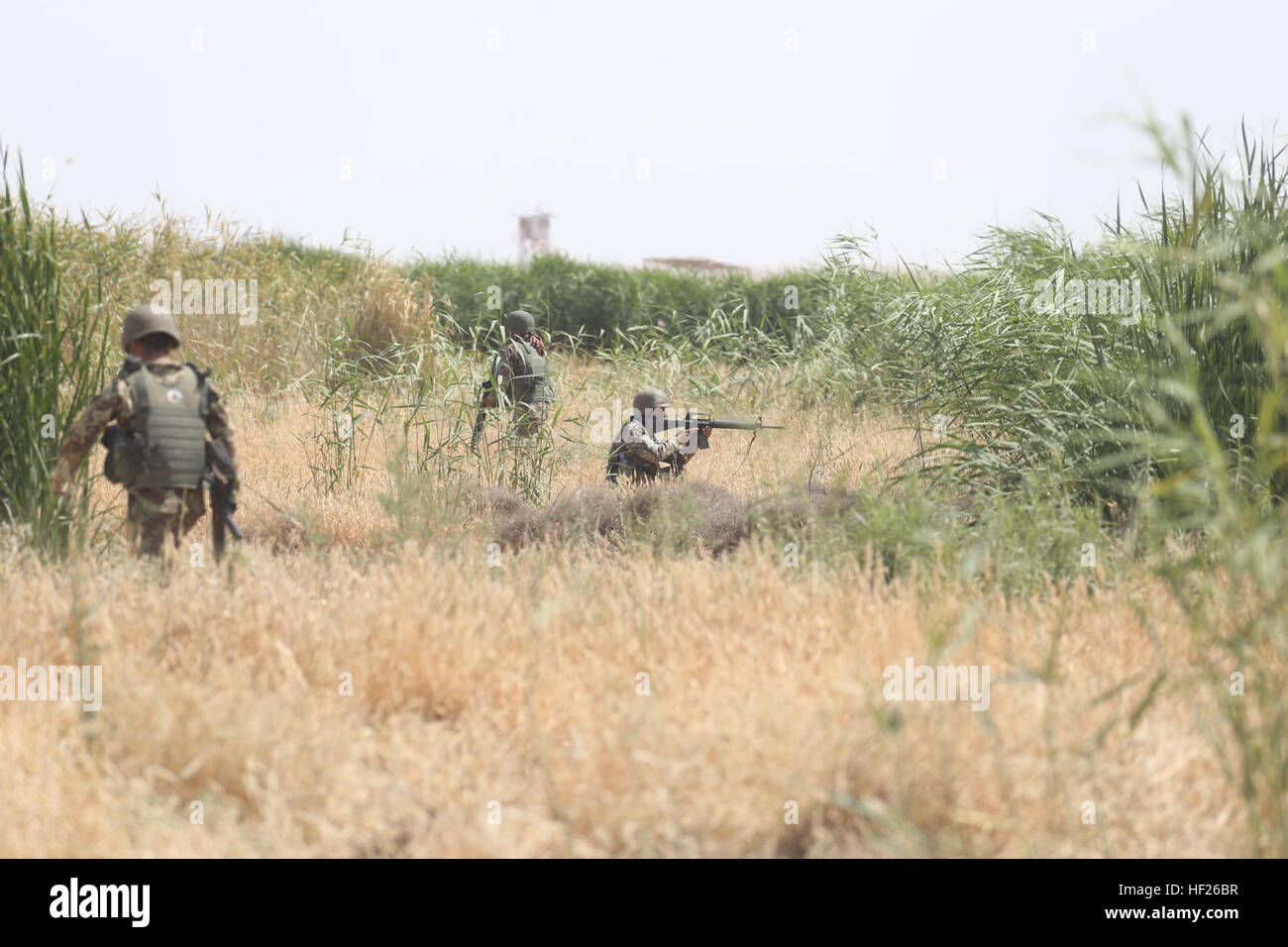 Msf team hi-res stock photography and images - Alamy