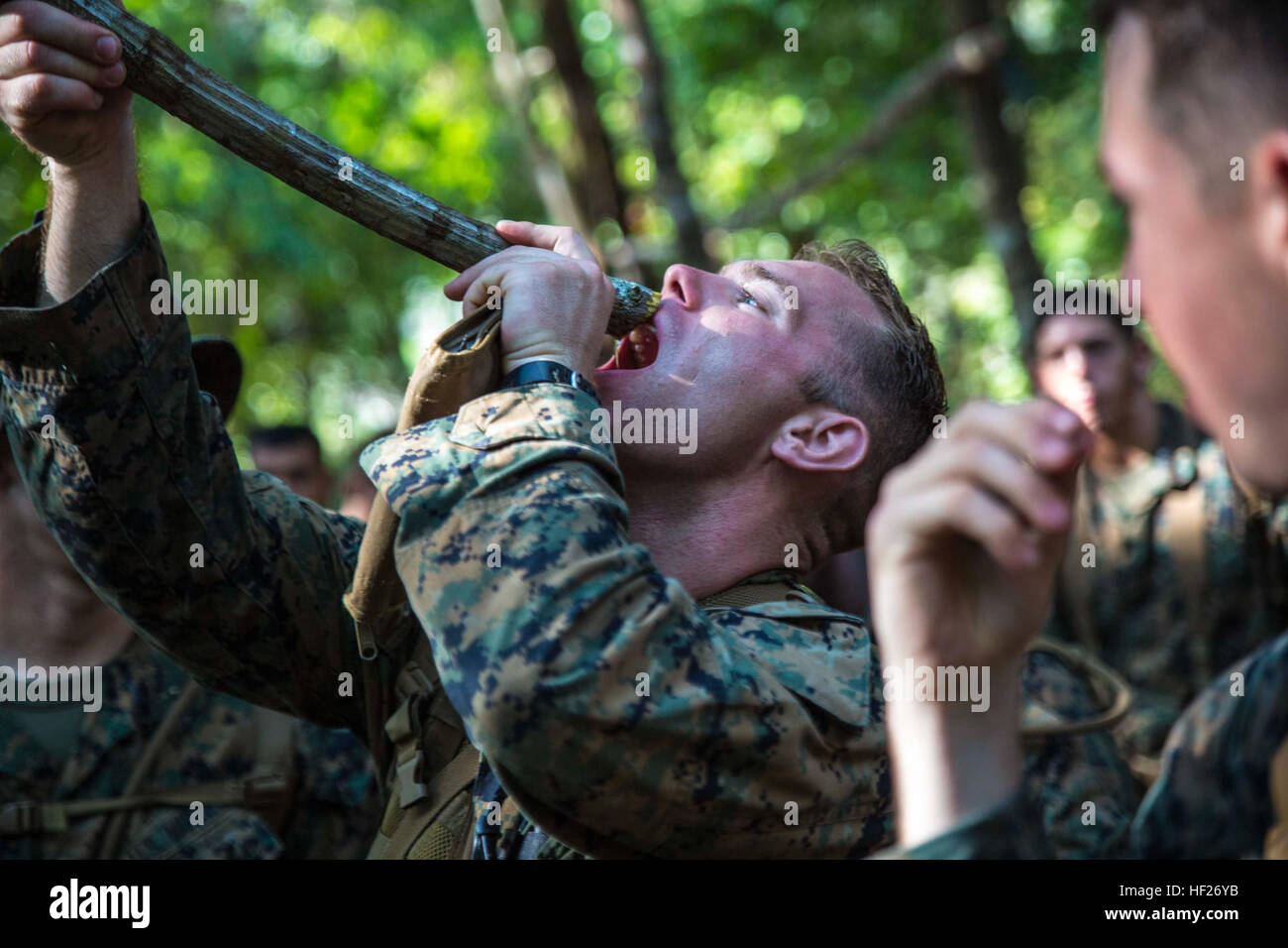 U.S. Marine 1st Lt. Nicholas Engle drinks water from a vine as part of ...
