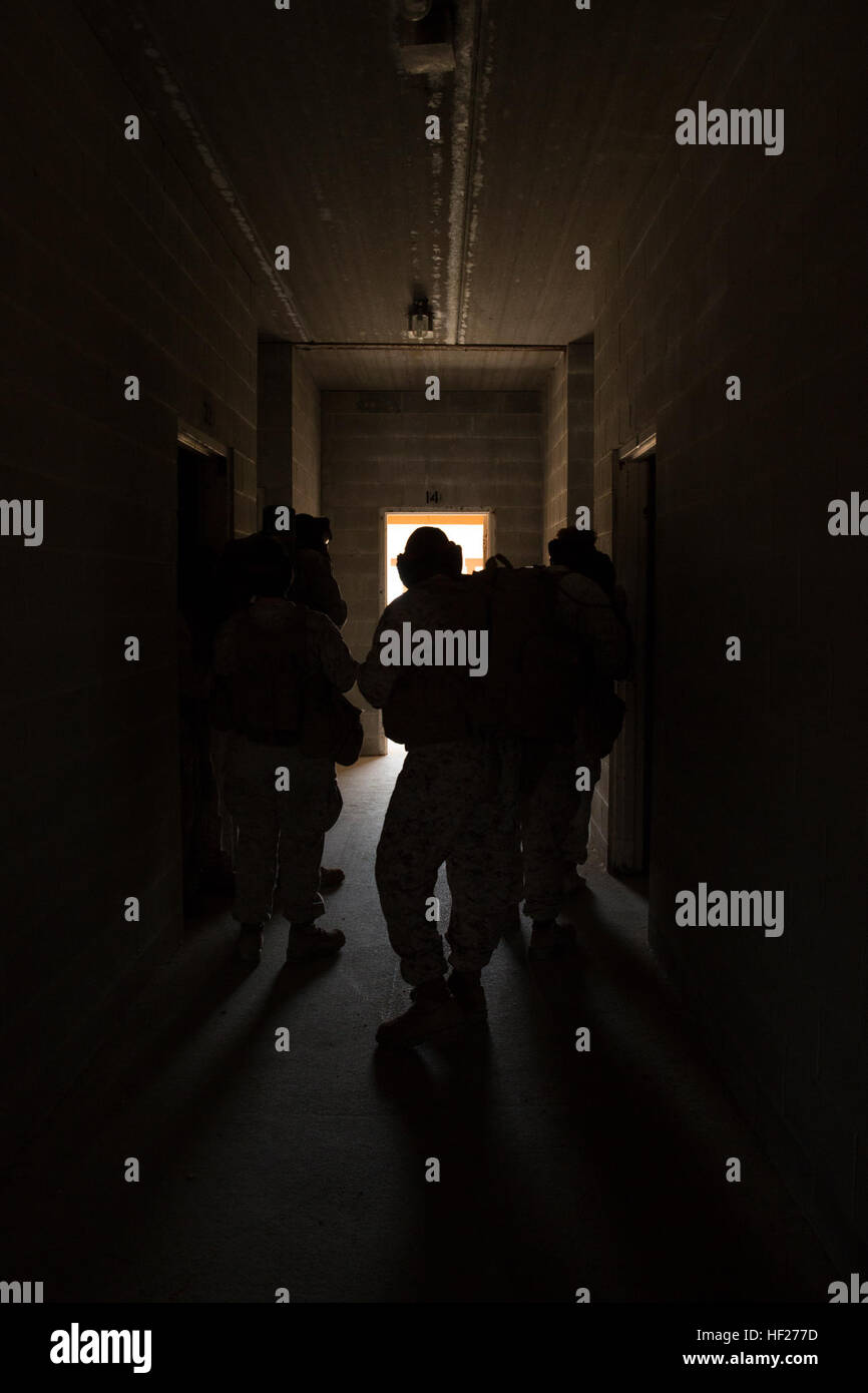 Marines with Alpha Company, 8th Engineer Support Battalion, 2nd Marine ...