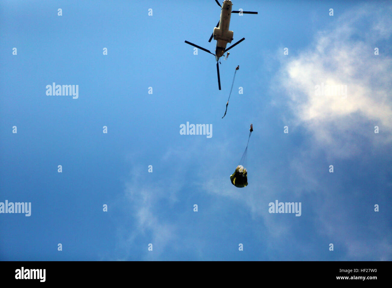 Marines with 1st Air Delivery platoon conducted static line jumped out ...