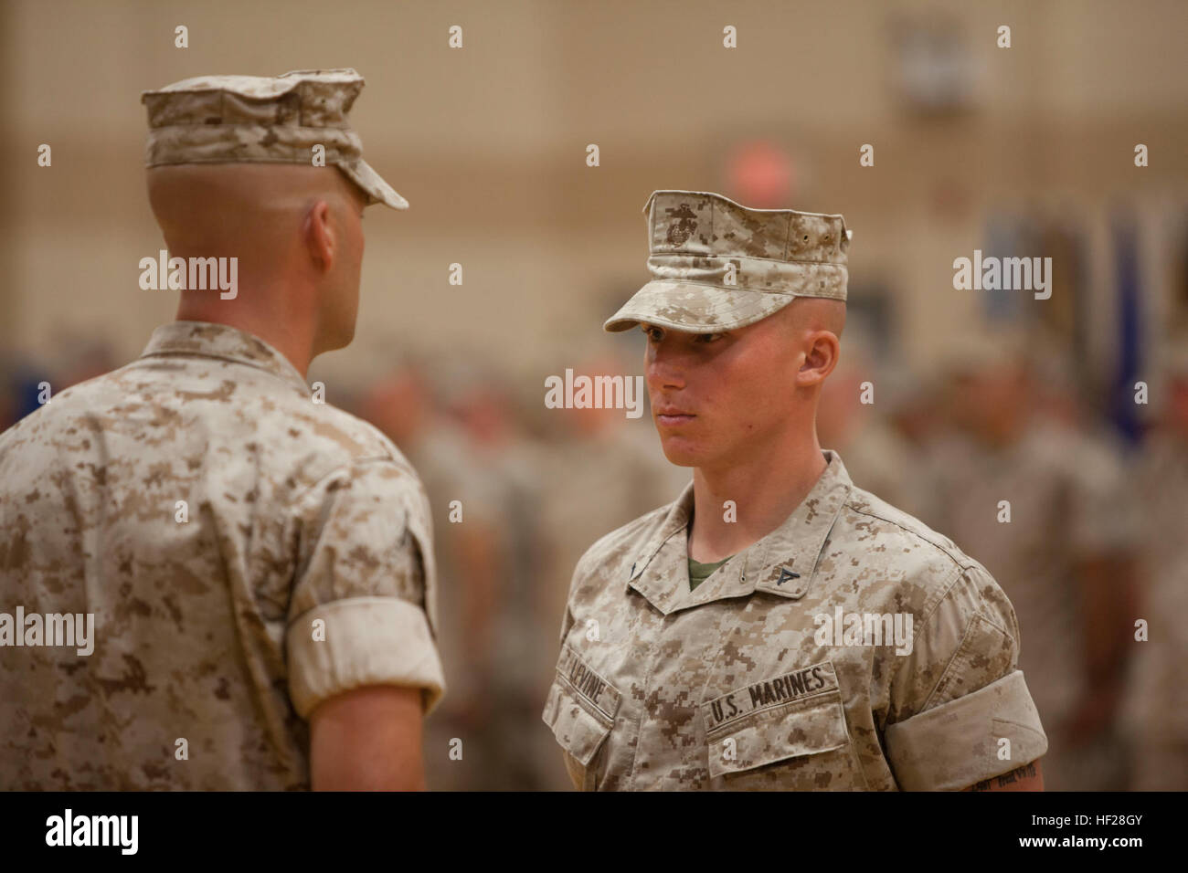 U.S. Marine Corps Lance Cpl. Matthew I. Levine with Alpha Company ...