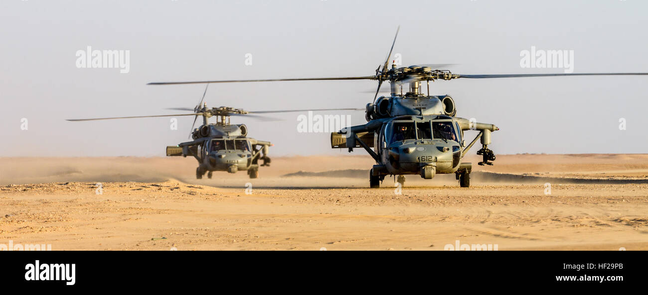 Two Navy MH-60S Sea Hawk helicopters from the aircraft carrier USS ...
