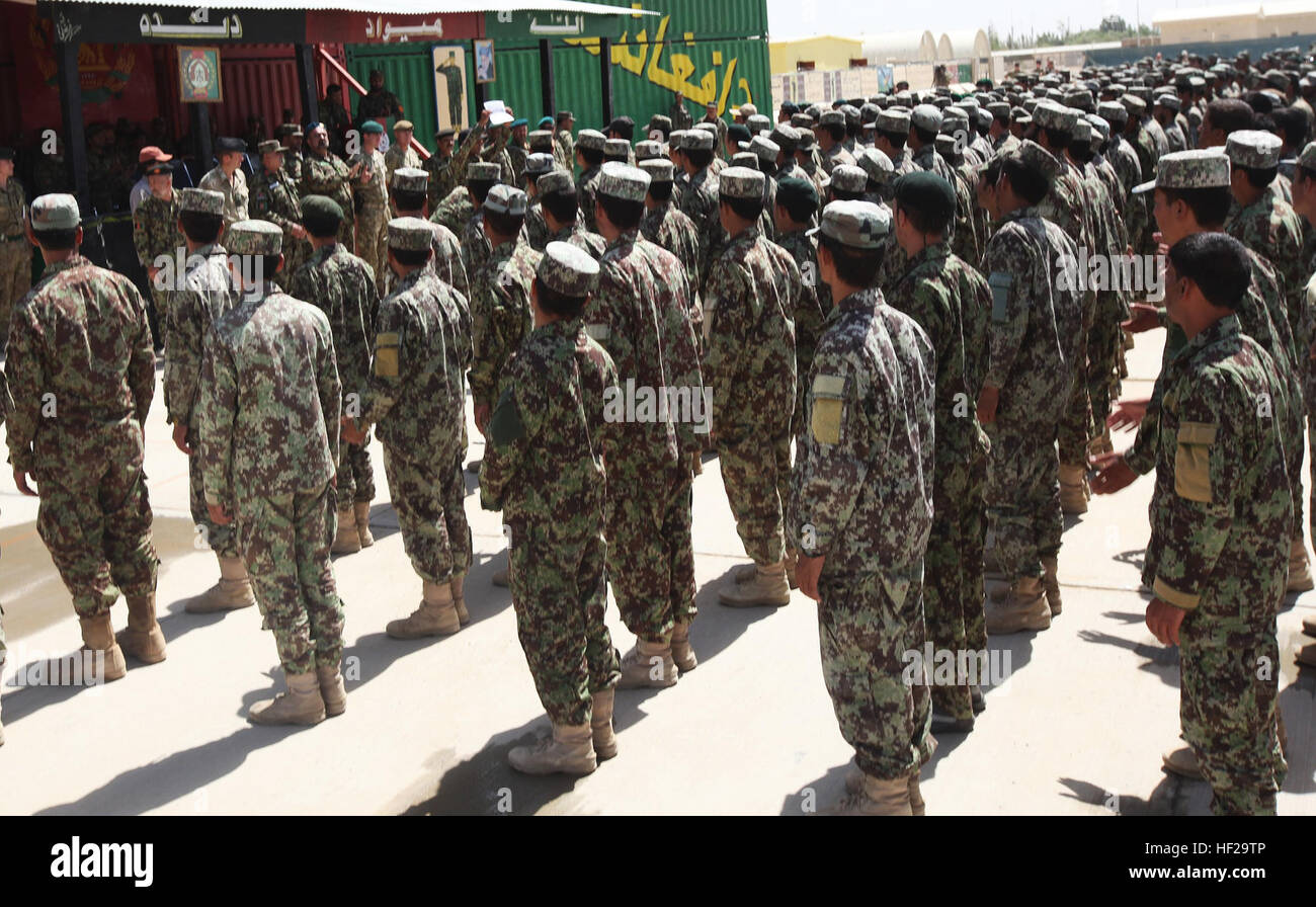 Afghan National Army soldiers with the 215th Corps stand in formation ...