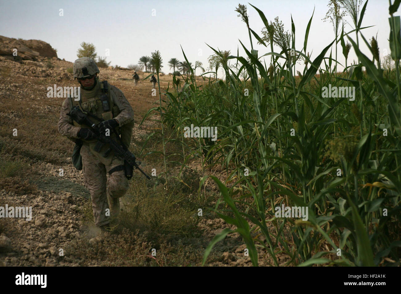Pvt. Brian Goff, a field radioman with 3rd Squad, Provisional Rifle ...