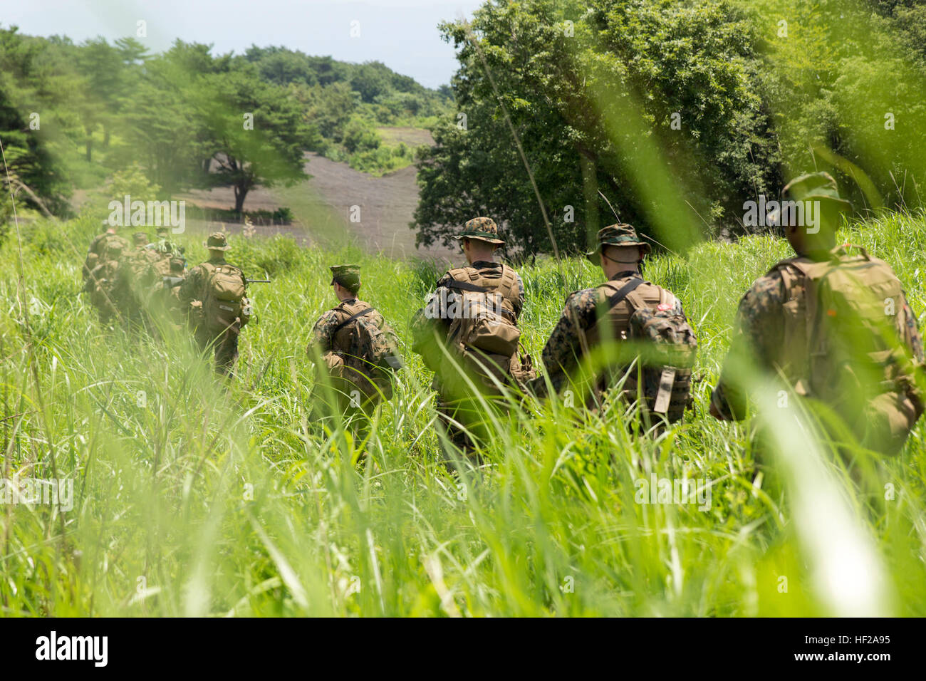 Combat Logistics Company 36 Marines and augments test their land ...