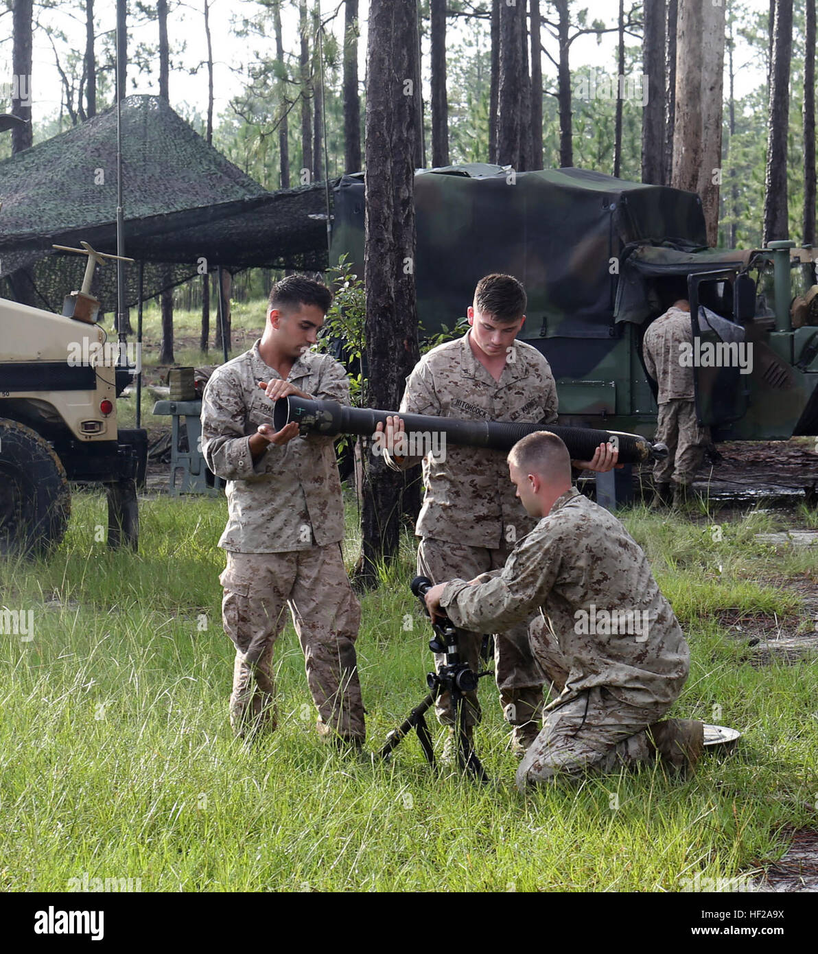 About 50 Marines from Weapons Company, 2nd Battalion, 2nd Marine ...