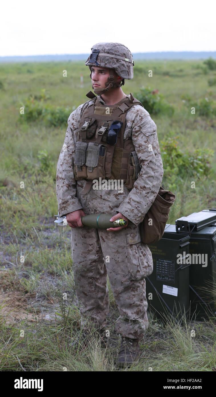 About 50 Marines from Weapons Company, 2nd Battalion, 2nd Marine ...
