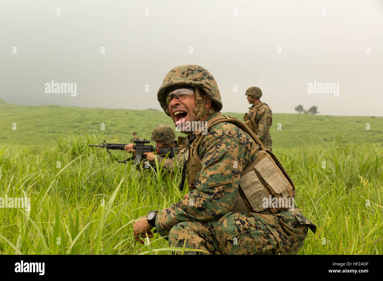 Capt. Roderick J. Singleton Jr., Combat Logistic Company 36 commanding ...