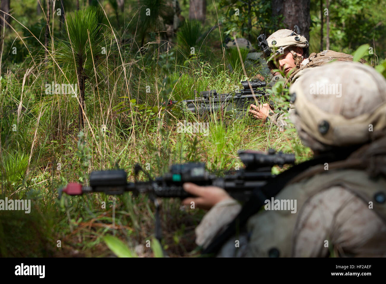 2nd tank battalion marines hi-res stock photography and images - Alamy