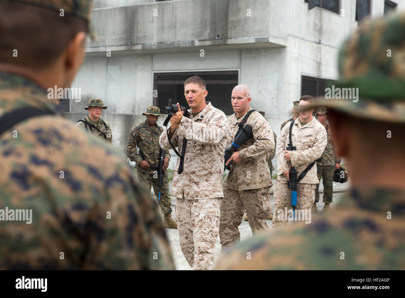 Marines from Combat Logistics Company 36 conduct Military Operations on ...
