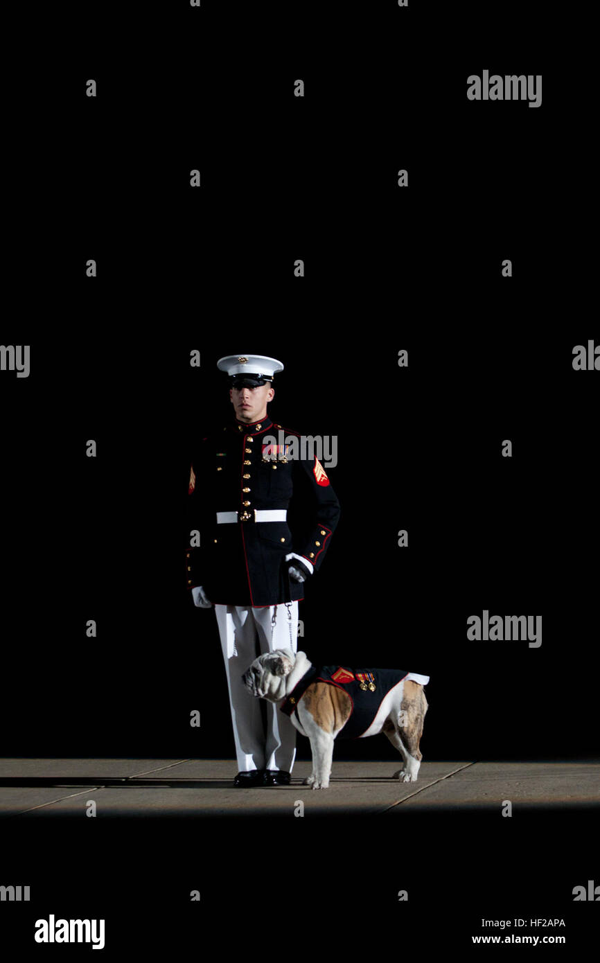 A U.S. Marine Corps sergeant escorts the Marine Corps mascot, English ...