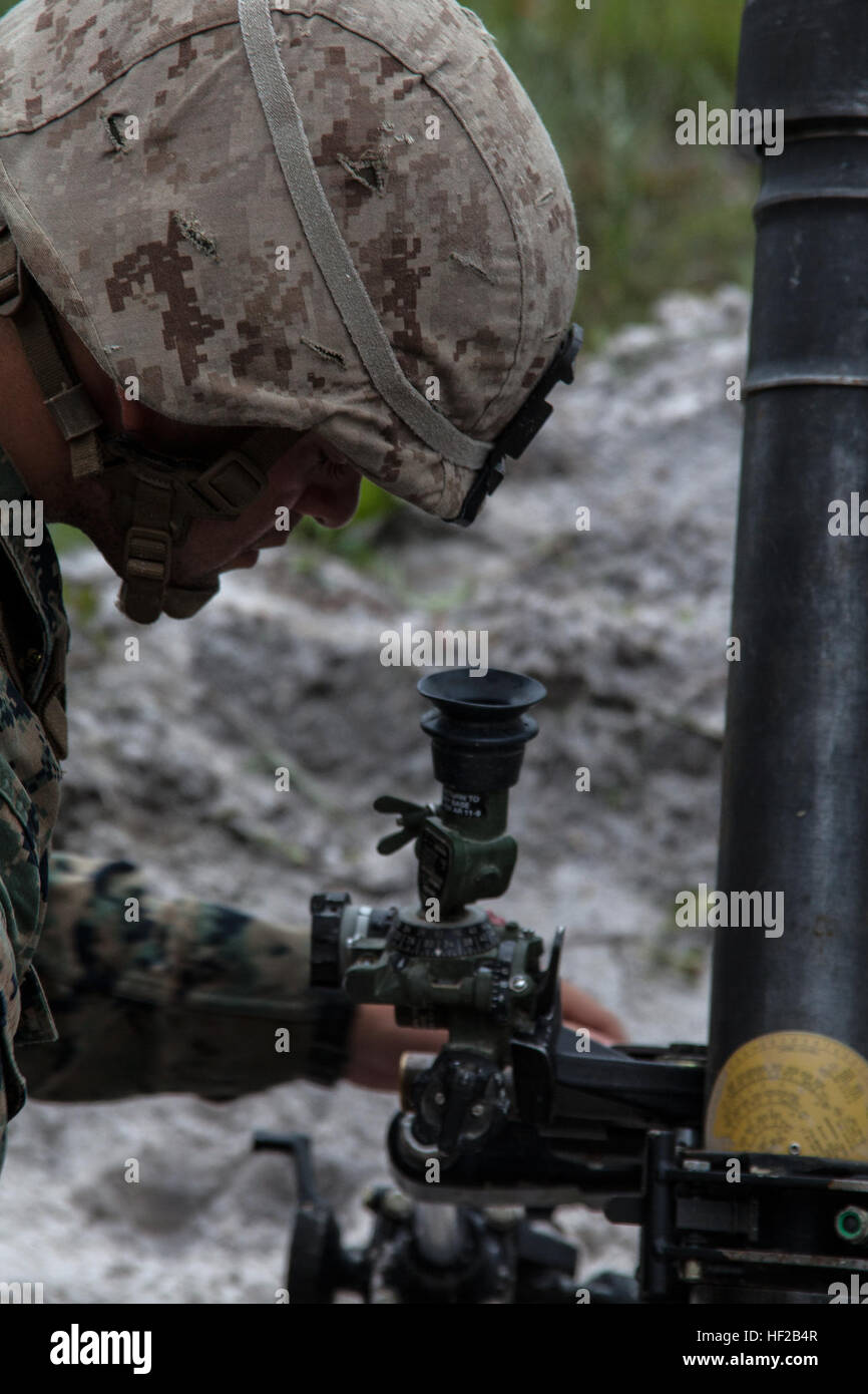 Prepares the m252 81mm mortar system hi-res stock photography and ...