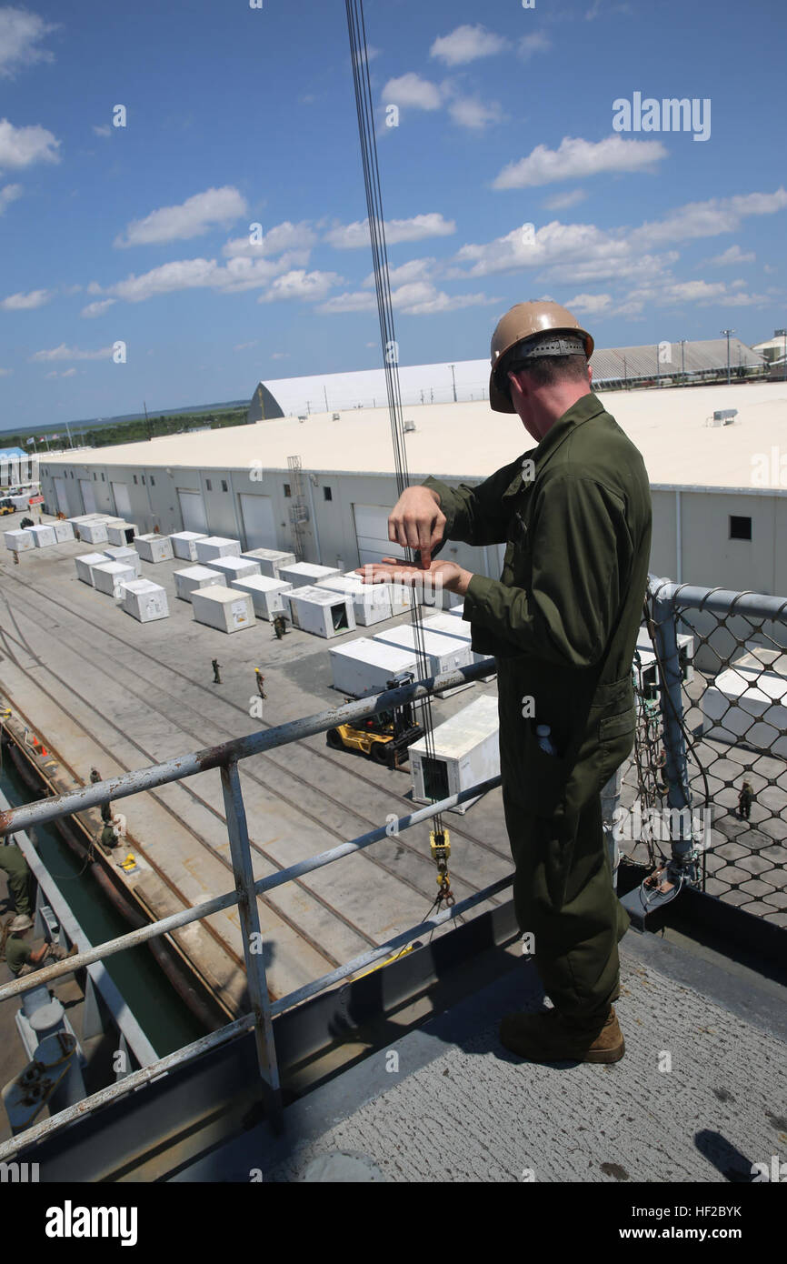 Exercise carolina dragon hi-res stock photography and images - Alamy