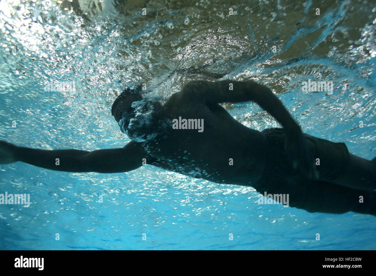 U.S. Marine Corps Lance Cpl. Teondre J. Perry, a motor transportation ...