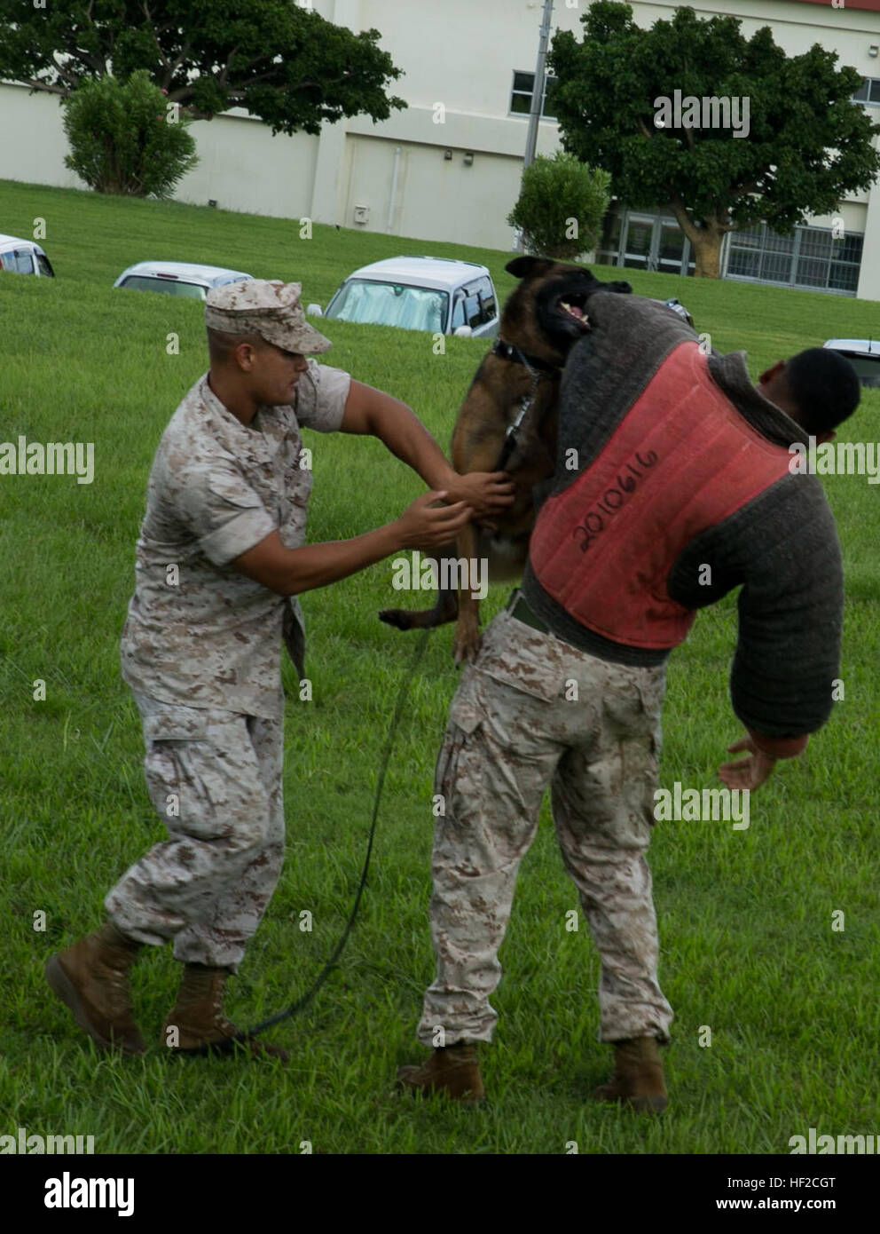 U.S. Marine Lance Cpls. Daryl Reyes, left, and Jordan Encalade ...