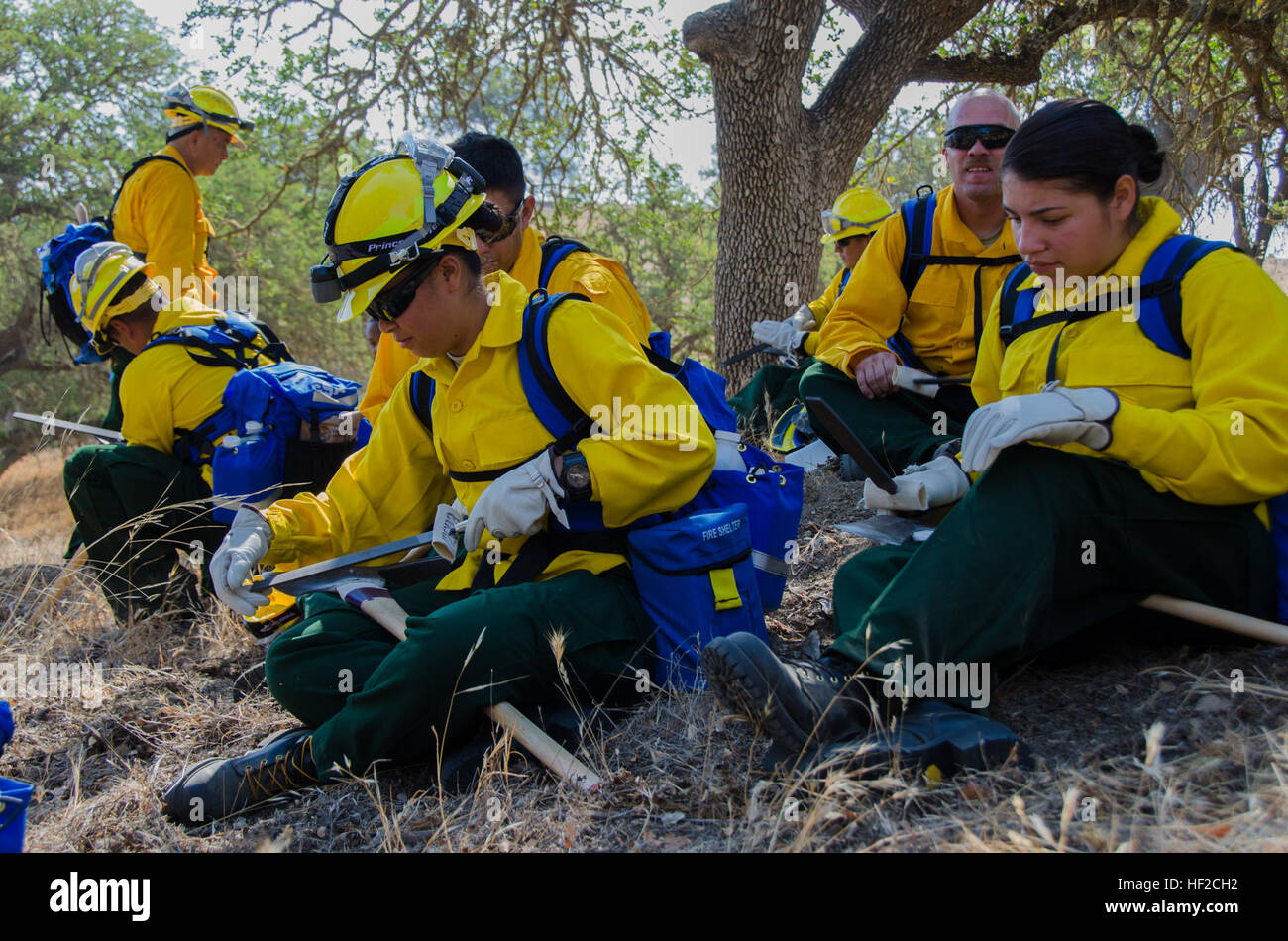 California Army National Guard Soldiers from 340th Brigade Support ...