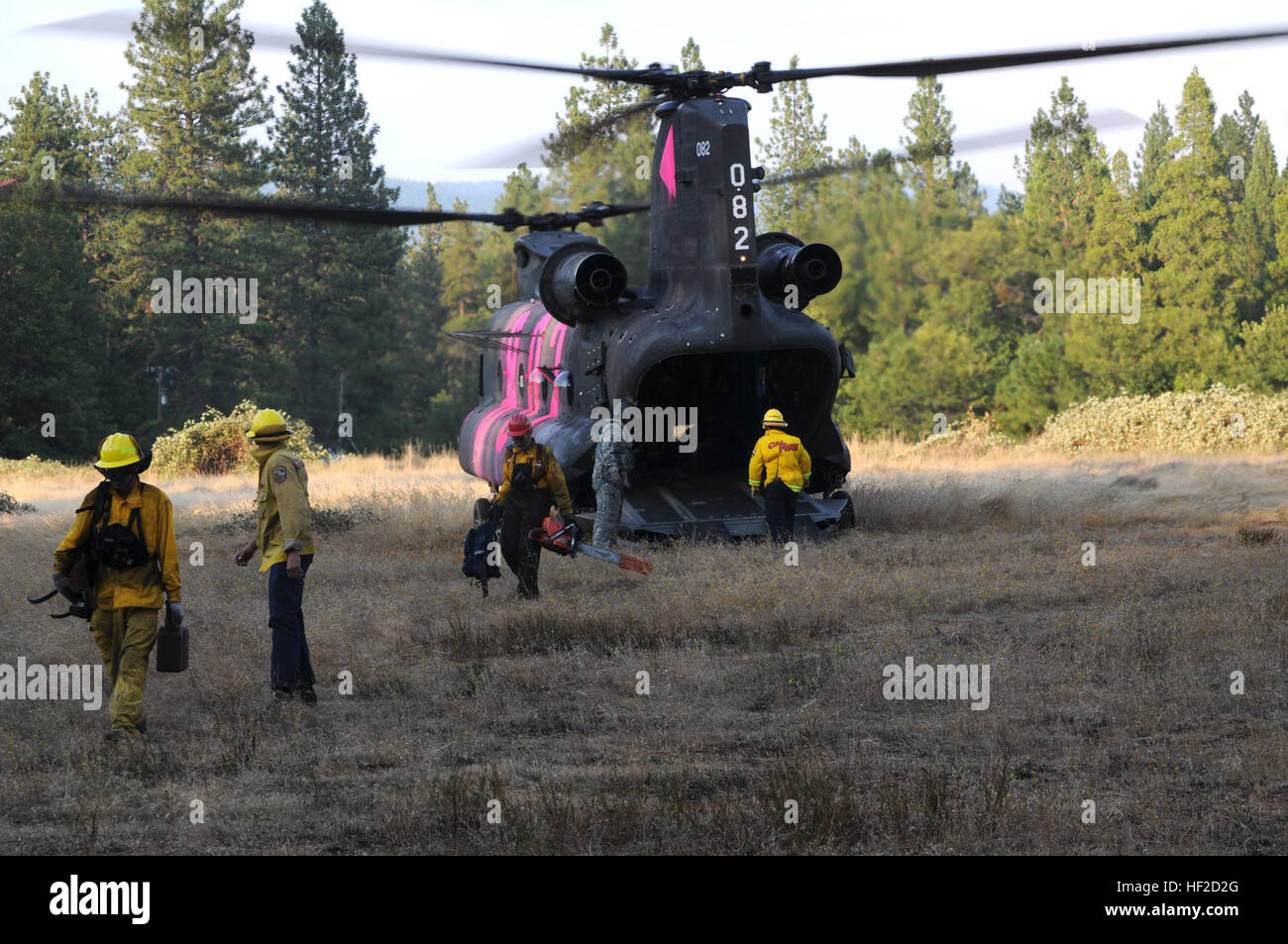 Contracted personnel who cut down hazardous trees exit a California ...